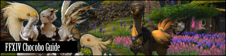 FFXIV Chocobo Guide | Unlocking Battle Companion & Mount – FFXIV Guild
